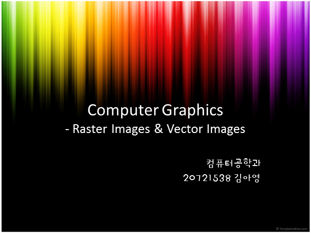 Computer Graphics Raster&Vector